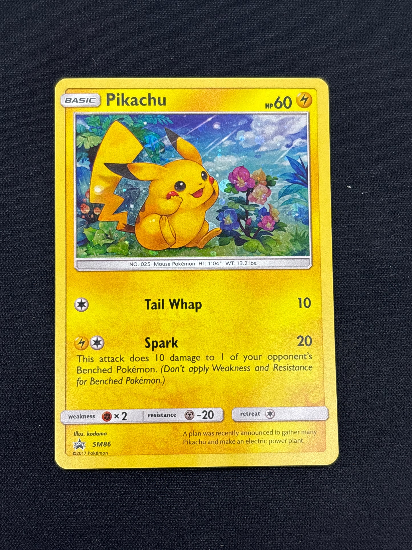 Auction Lot 15: Pikachu Promo SM86 Card Conditions Vary