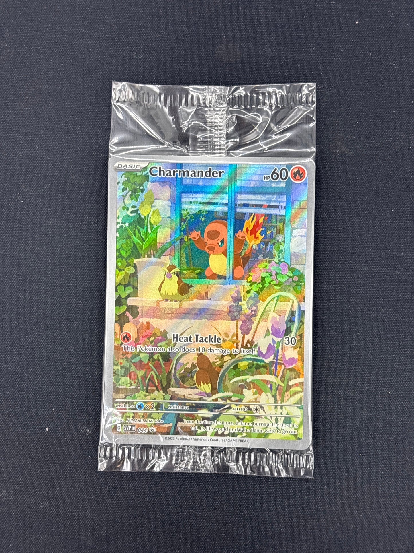 Auction Lot 71: Pokemon Obsidian Flames Charmander ETB Promo Sealed